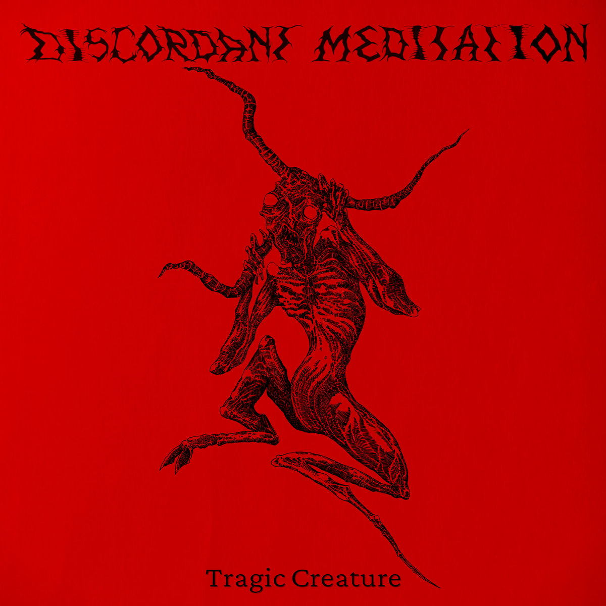 Review: Discordant Meditation - Tragic Creature - The Progressive Subway