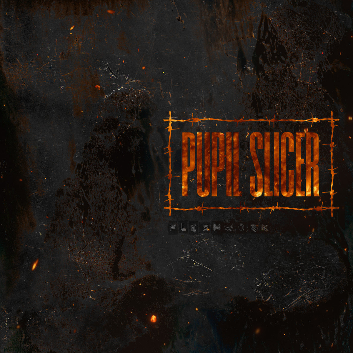 Review: Pupil Slicer - Fleshwork - The Progressive Subway